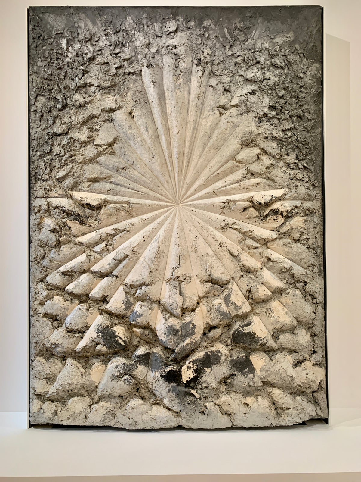 Jay DeFeo | MLTSHP