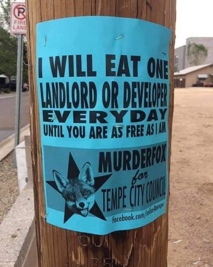 Vote Murderfox | MLTSHP