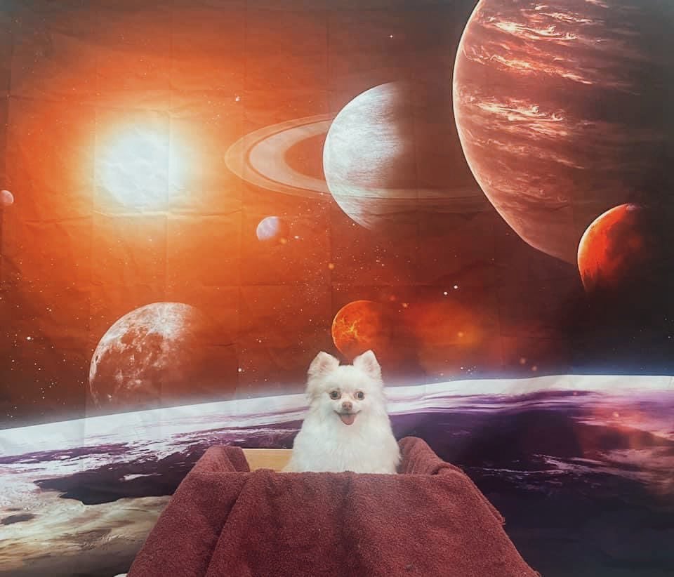 "ground control to major pom" | MLTSHP