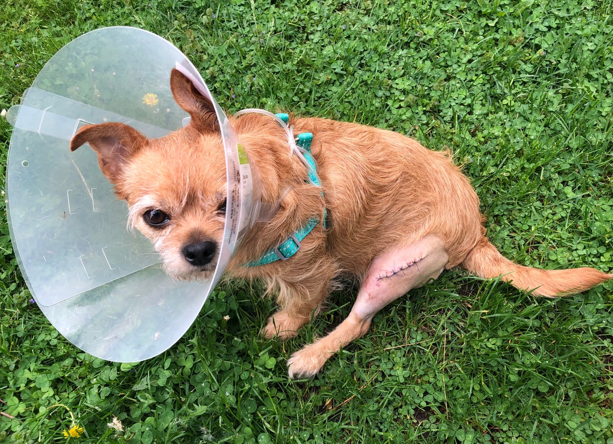 It’s gonna be a slow summer | MLTSHP