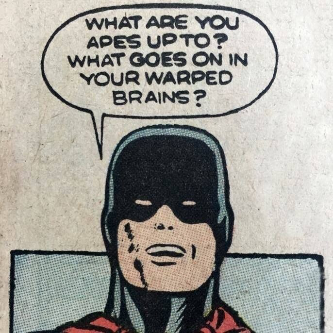 Me. At My First In Person All Staff Meeting | MLTSHP