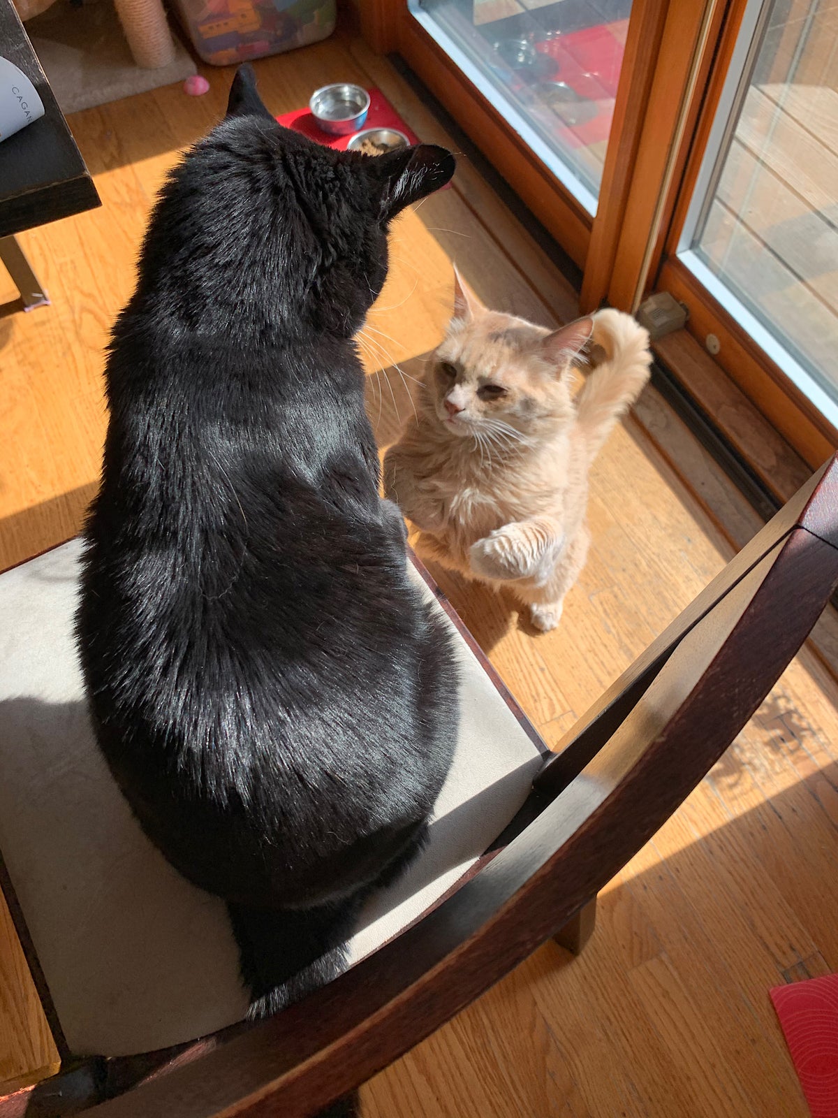 The high ground | MLTSHP