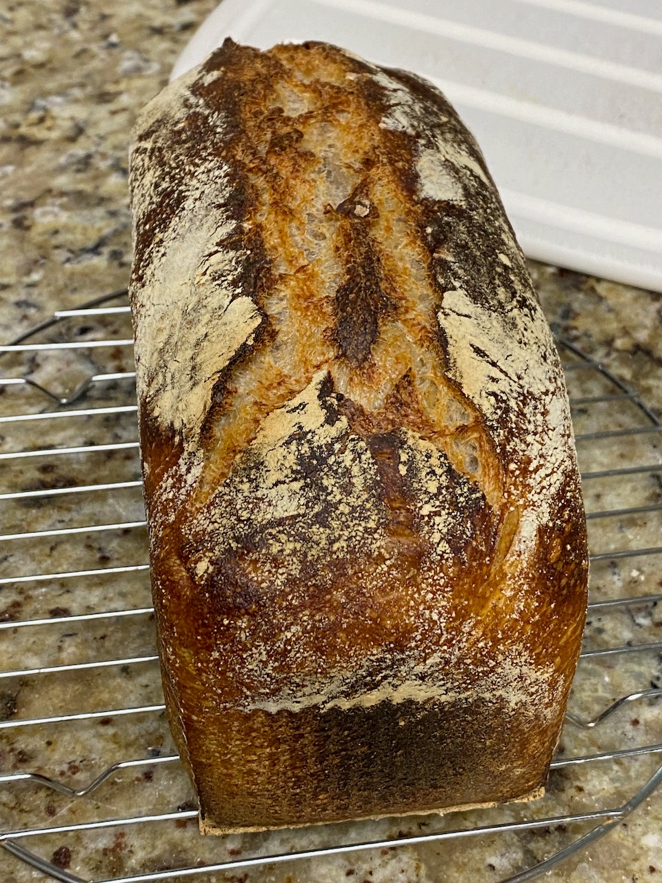 one handsome sour boy | MLTSHP