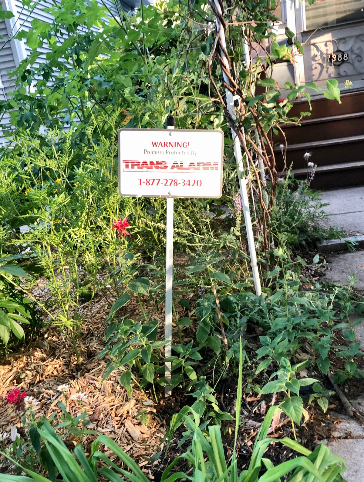 the perfect accessory to all those goddamn bathroom bills | MLTSHP