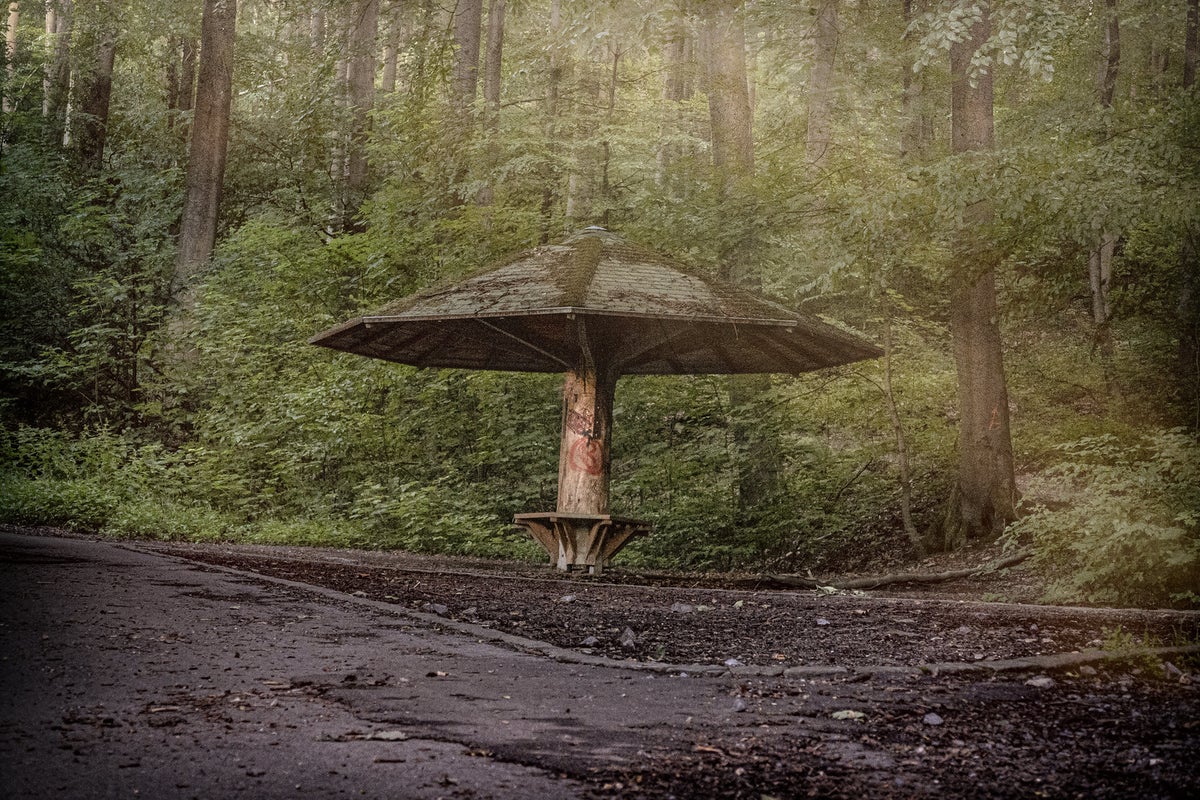 after the rain | MLTSHP