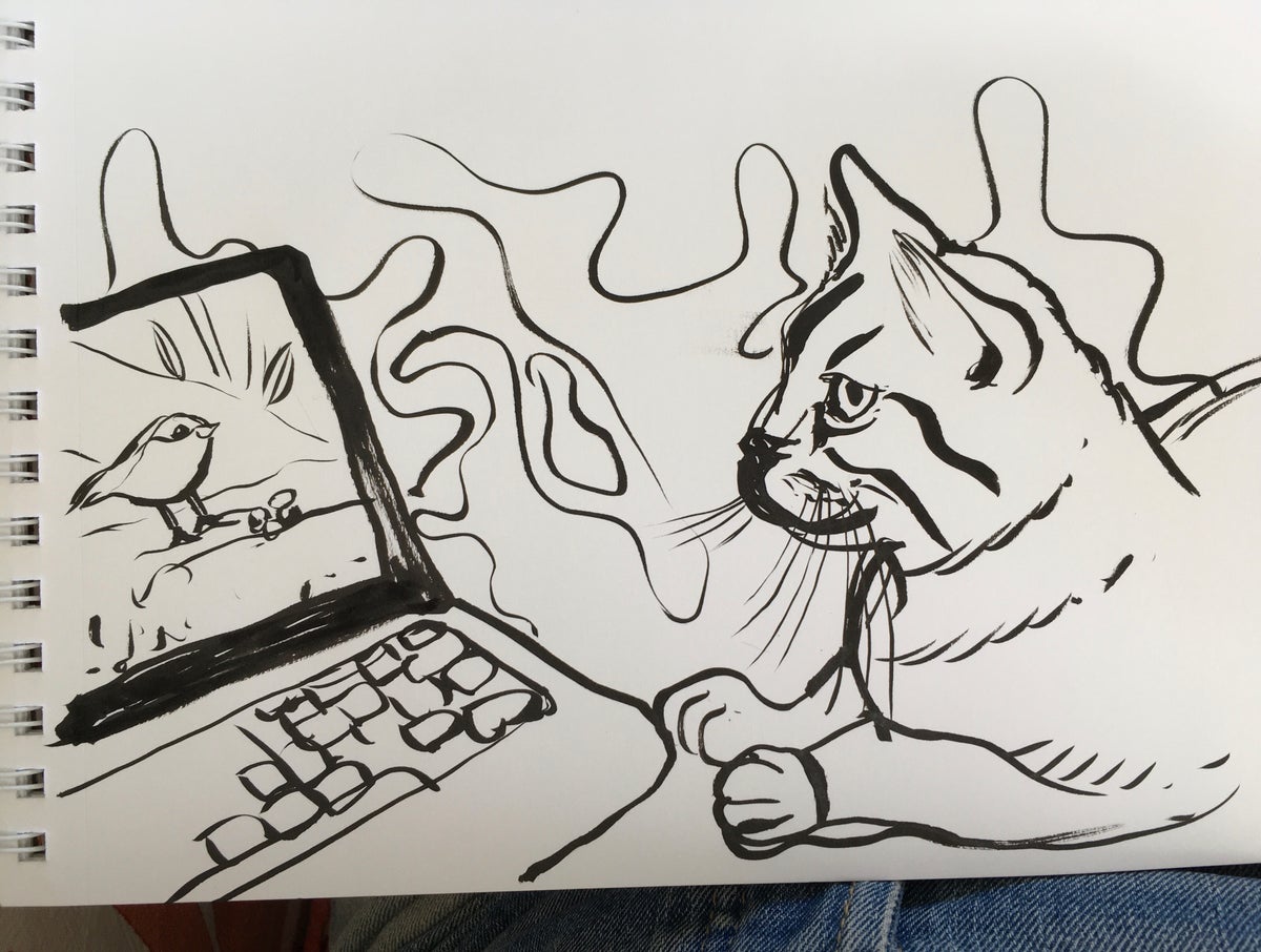 Quick study… | MLTSHP