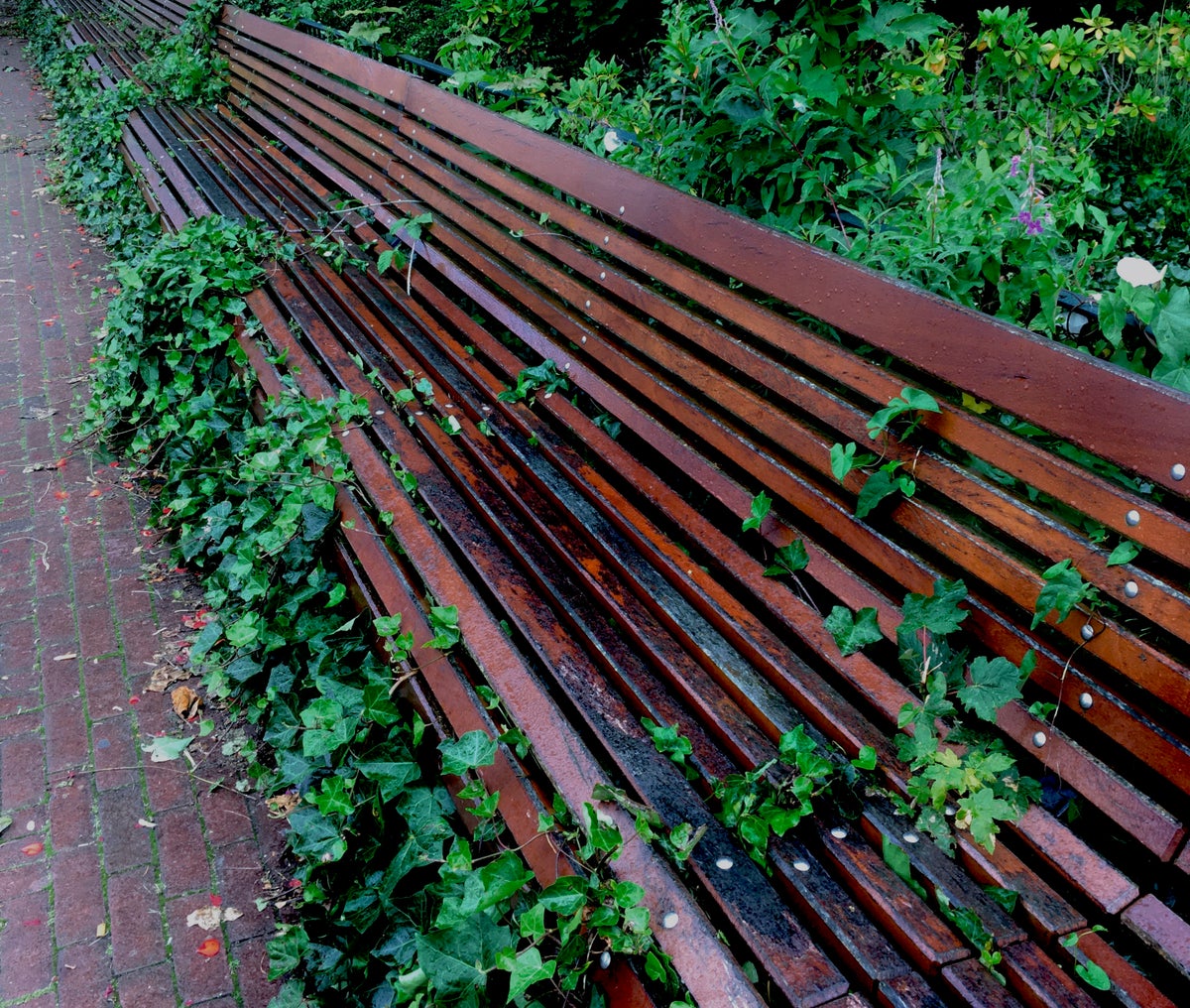 Thoughts on a bench | MLTSHP