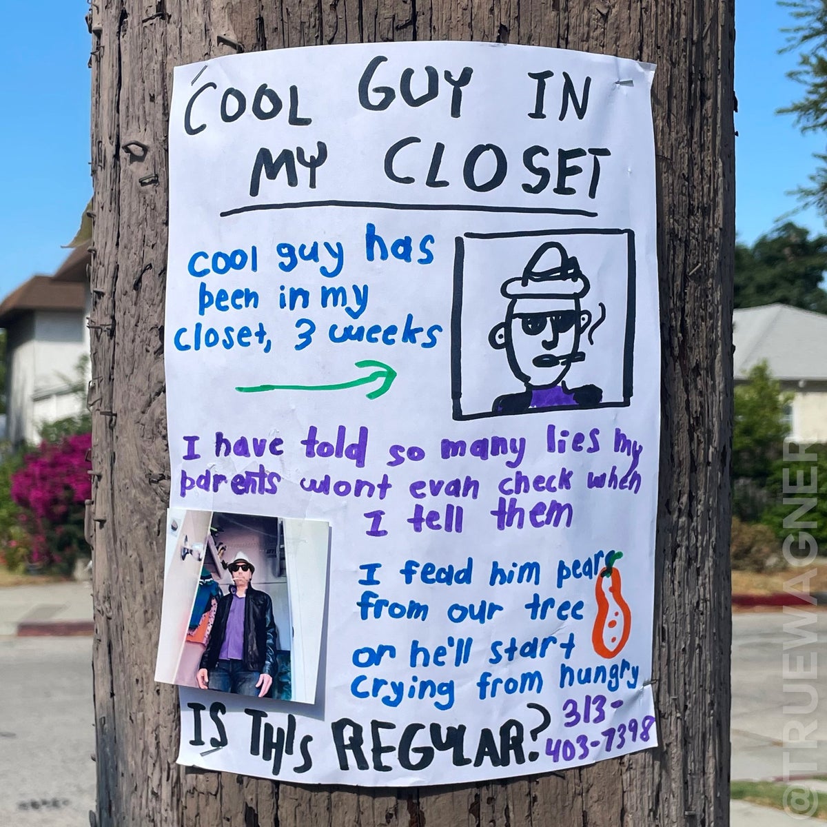 Don't Cry, Cool Guy | MLTSHP