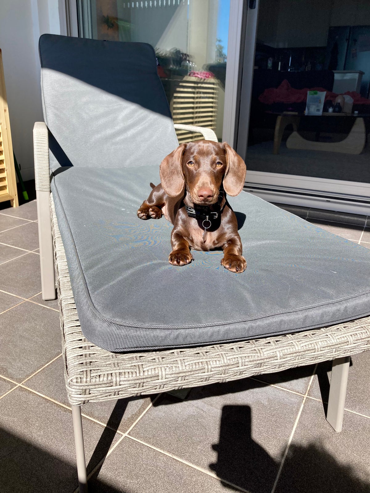 Not quite daily Norbert | MLTSHP