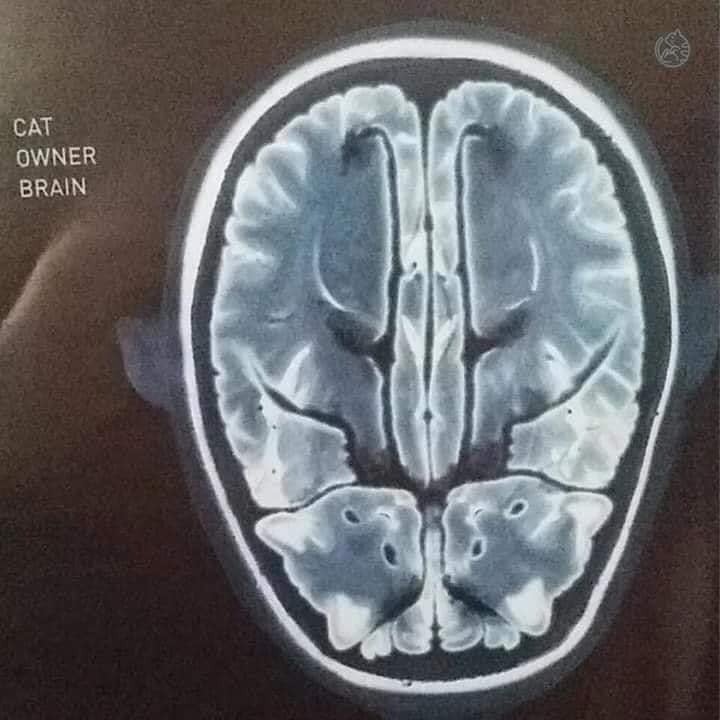 Who wore it best? | MLTSHP