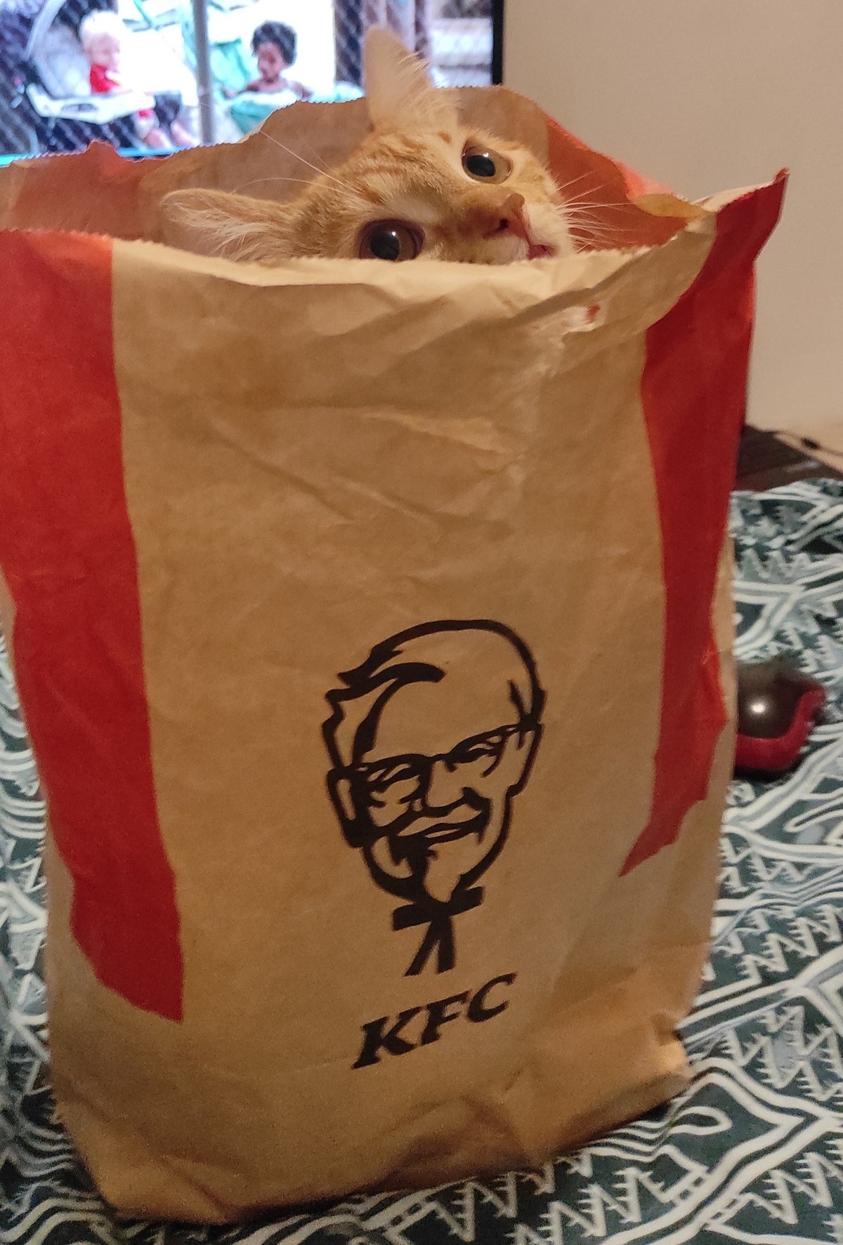 Zinger Meal | MLTSHP