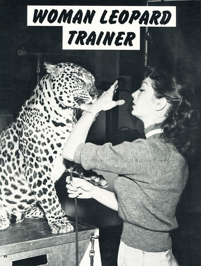 Or Just Leopard Trainer | MLTSHP