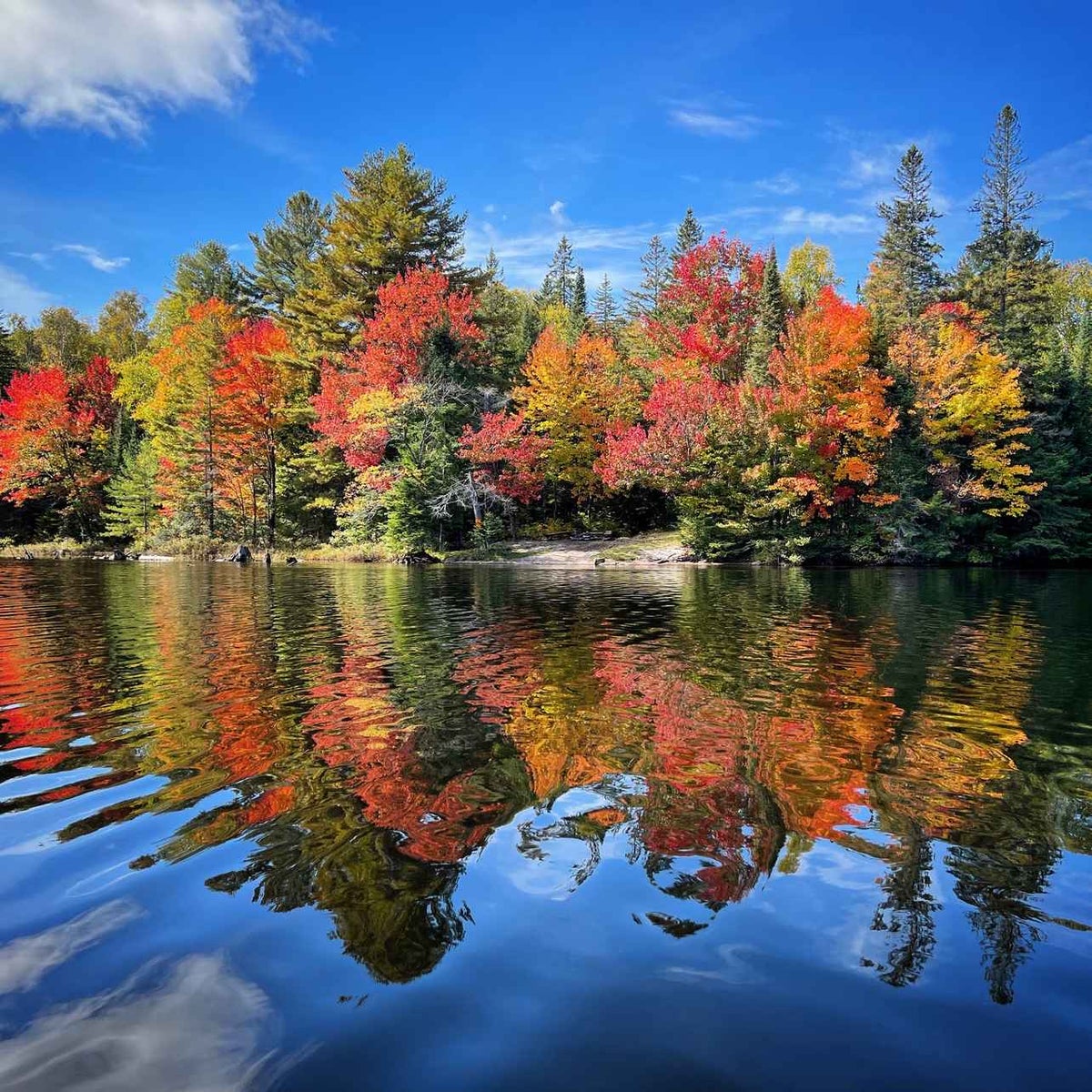 Peak Park 🍁 | MLTSHP