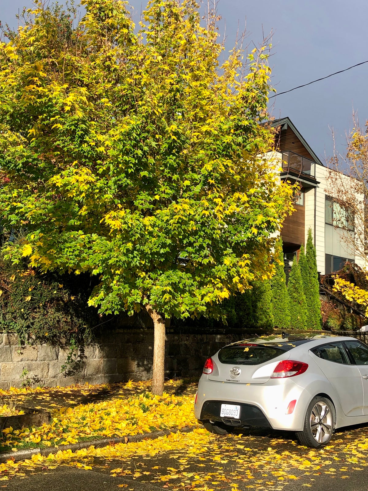 after the storm 2 | MLTSHP