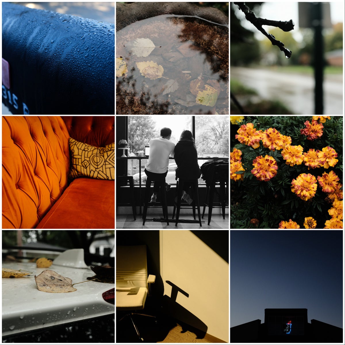 autumn meandering and rambling | MLTSHP