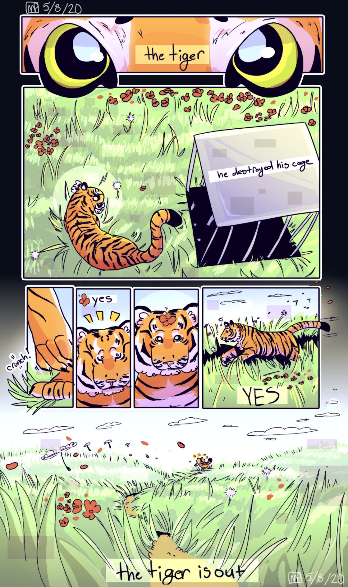 the tiger is out, interpreted | MLTSHP