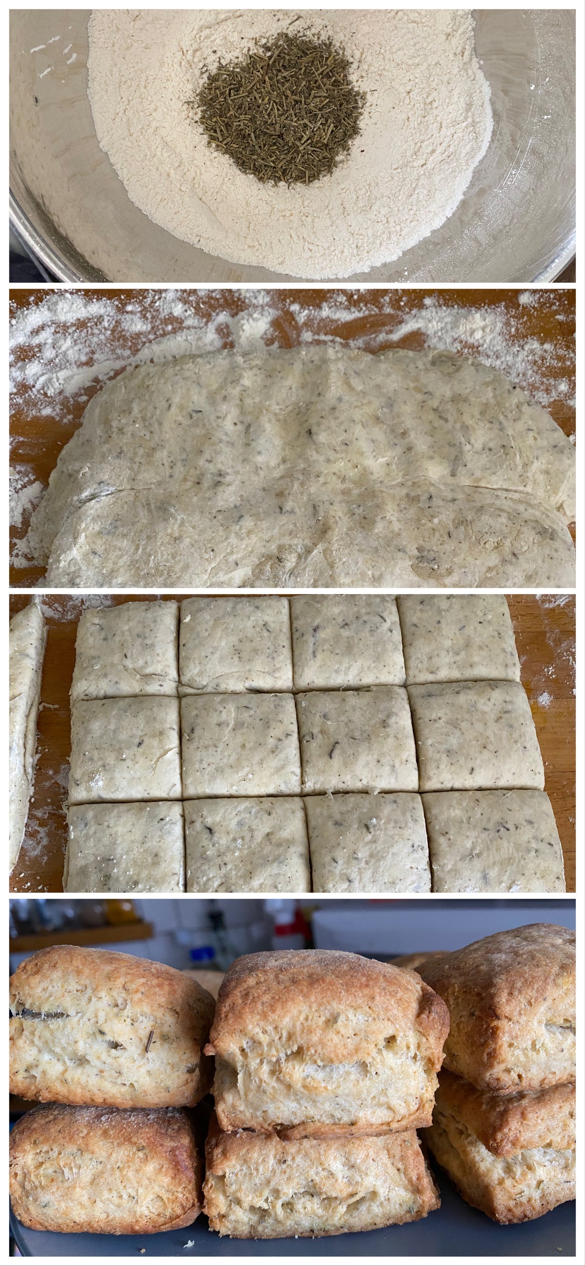 also made sourdough discard biscuits today | MLTSHP