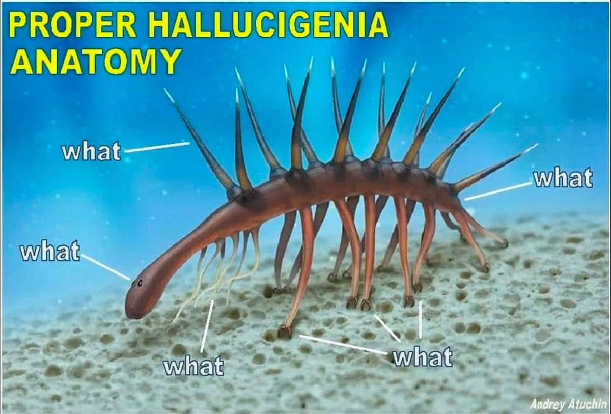 some of them are lobopods | MLTSHP