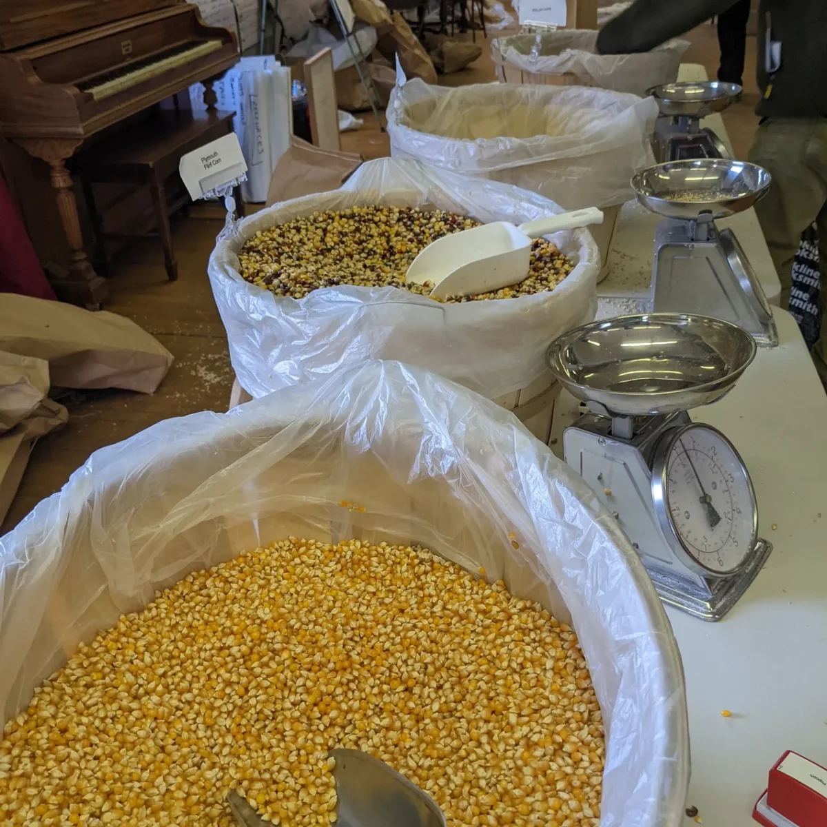 What does a vegan zombie crave? | MLTSHP