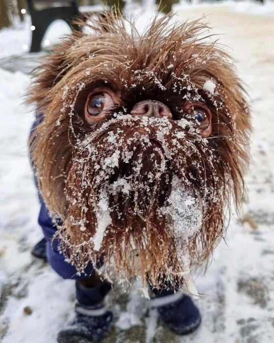 The Empire Strikes Back (1980, d. Irvin Kershner) | MLTSHP