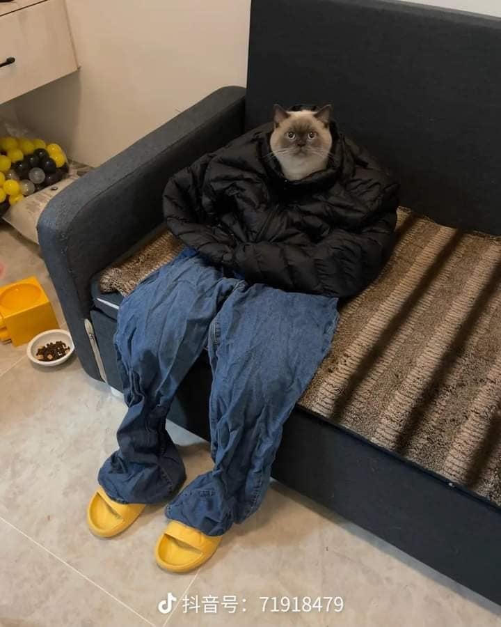 Hello, fellow human | MLTSHP