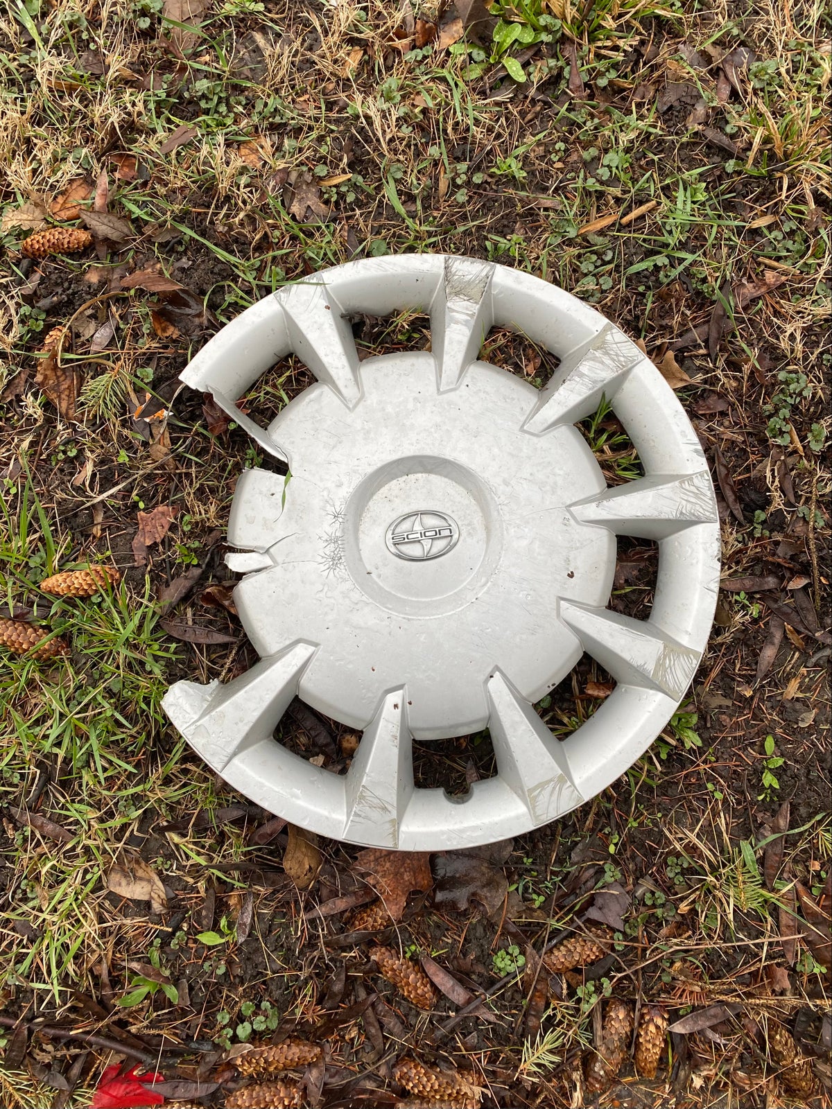 what i saw: commute edition | MLTSHP