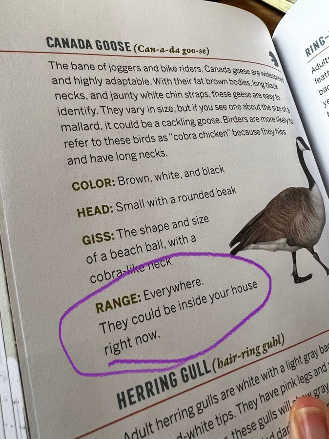 Do you hear honking? | MLTSHP