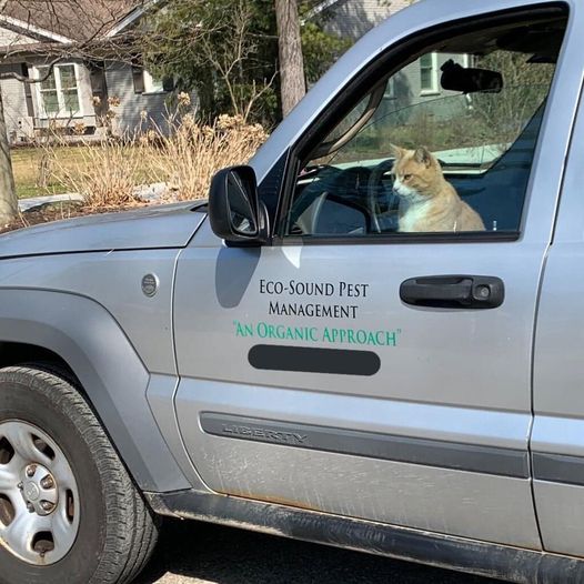 Eco-Sound Pest Management | MLTSHP
