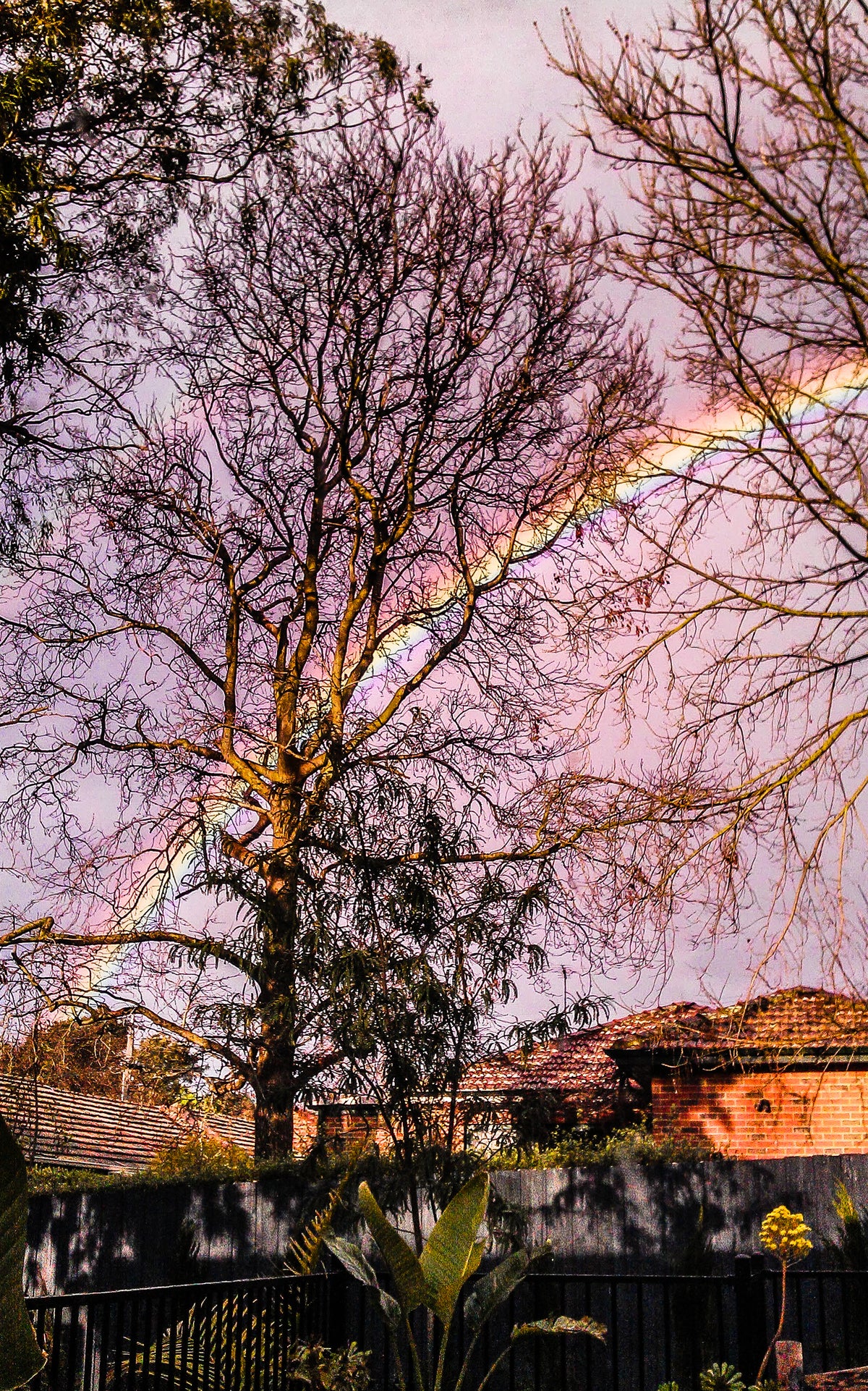 Magic moment, winter 2016 | MLTSHP