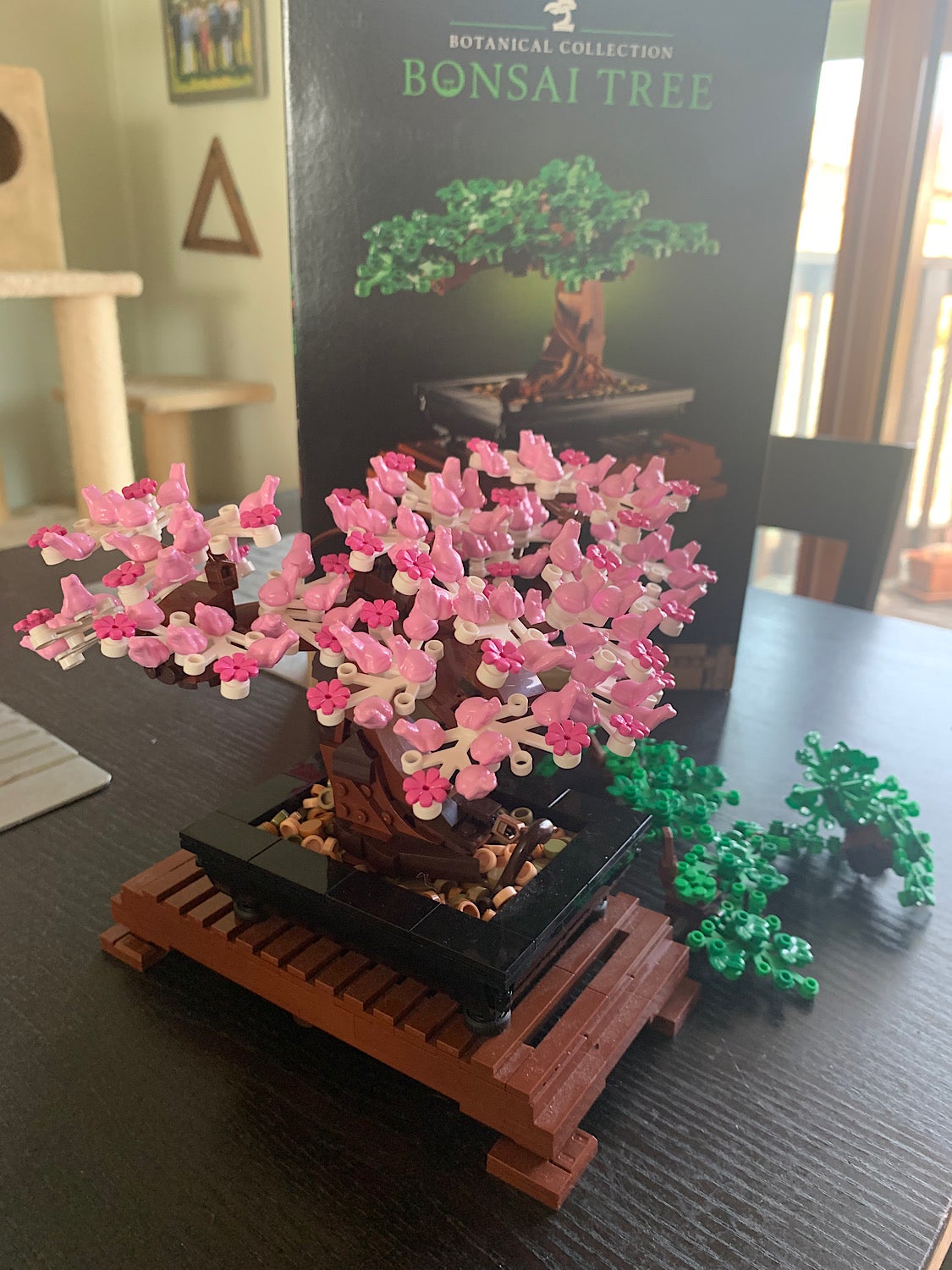 Spring is here | MLTSHP