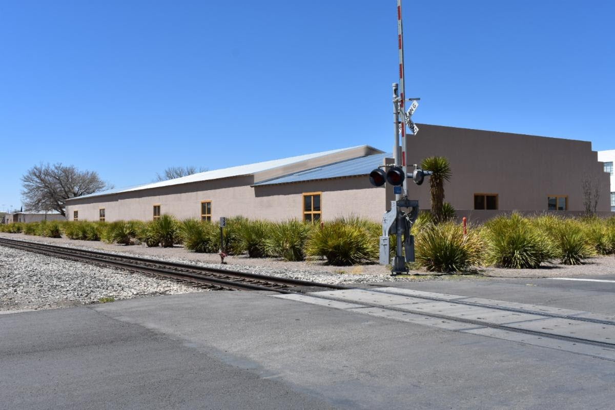 sotols at the Chamberlain building in Marfa | MLTSHP
