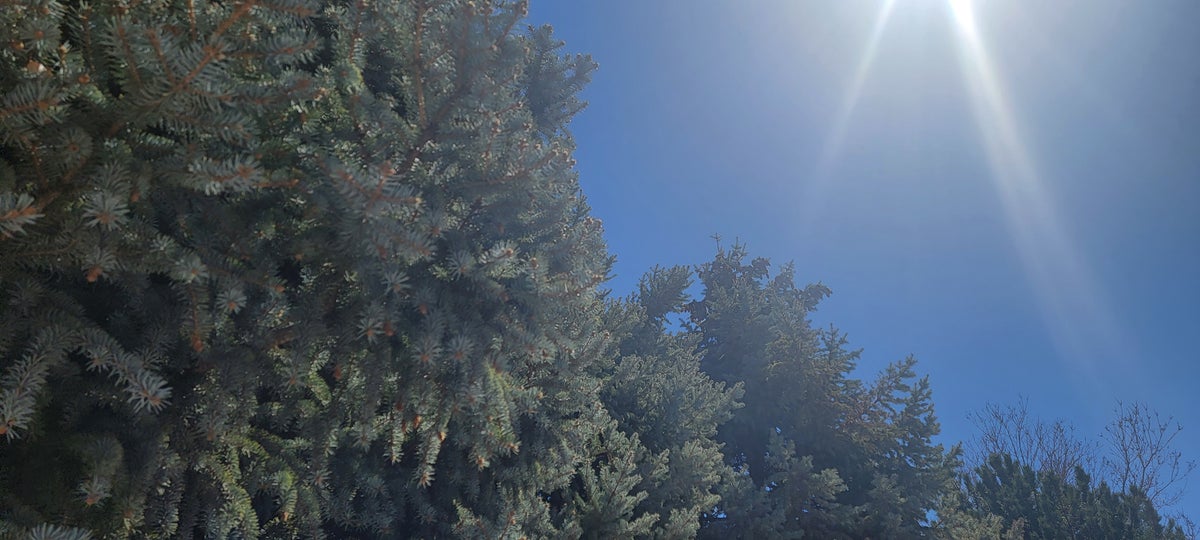 Mltshp Meander | MLTSHP