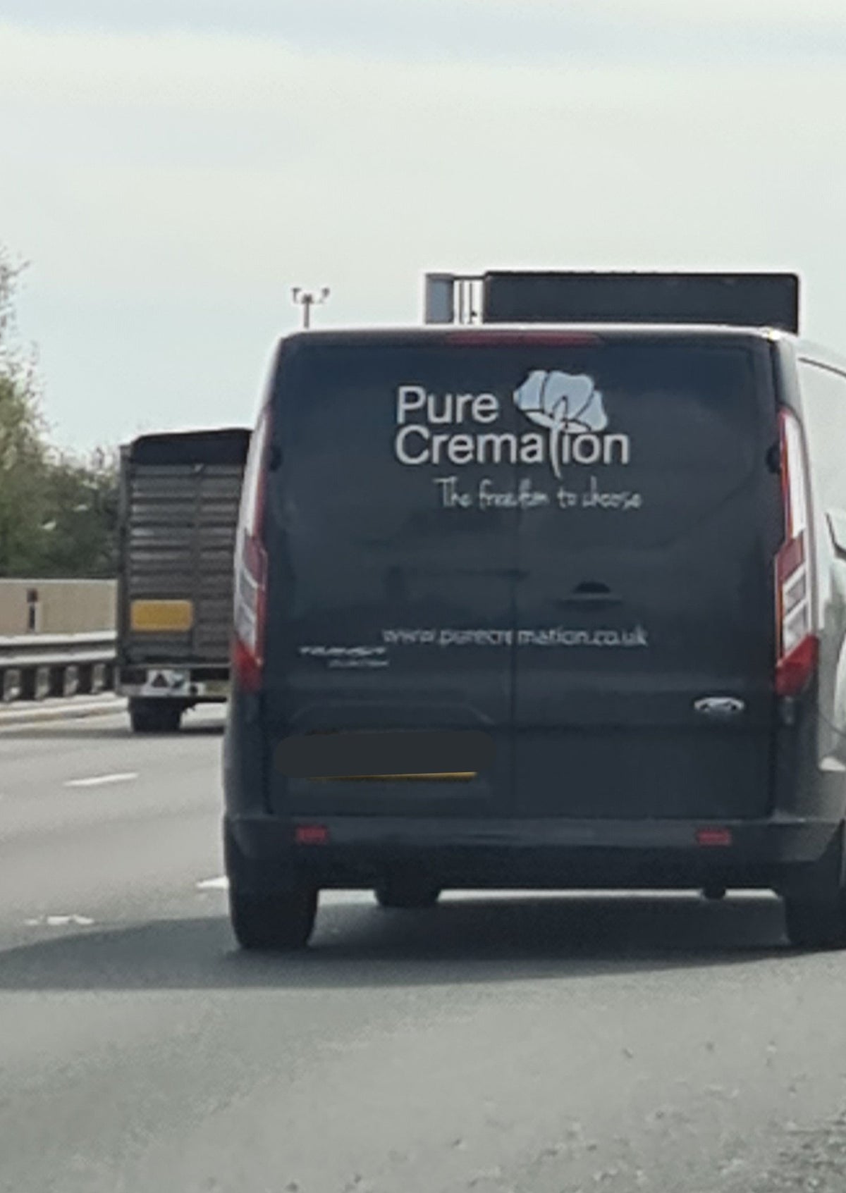 PURE CREMATION, MATE | MLTSHP