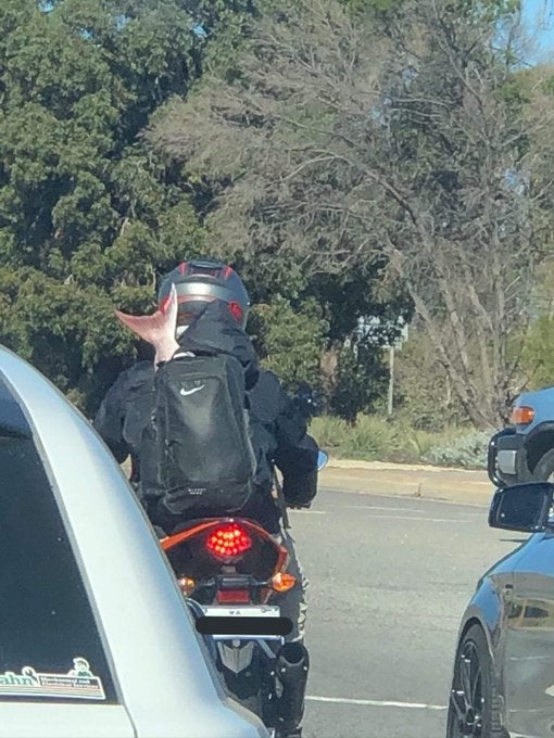 Good Friday Prep | MLTSHP