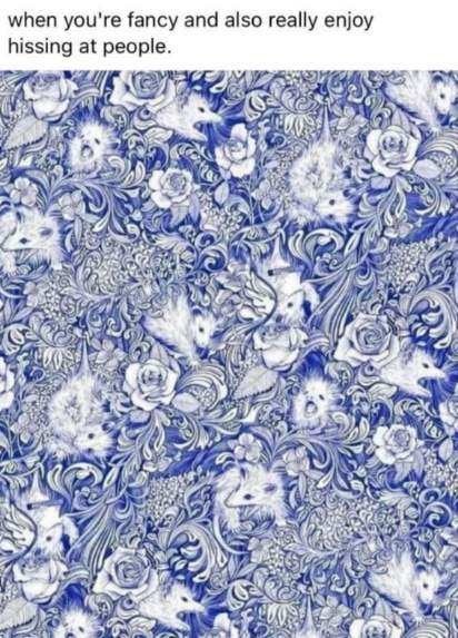 There's a perfect fabric print out there for everyone | MLTSHP