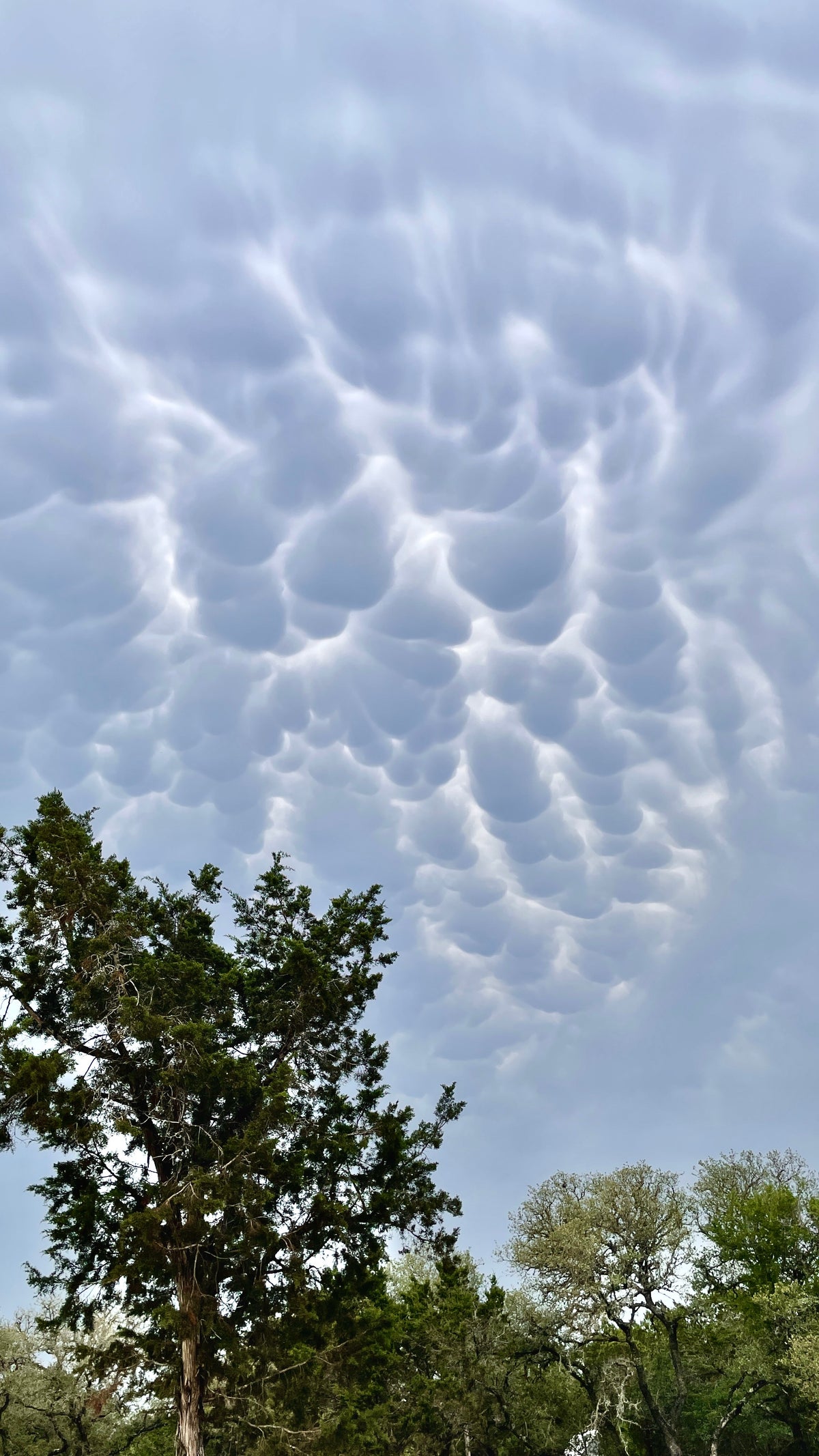 Mammatus clouds yesterday, outside Boerne Tx. | MLTSHP