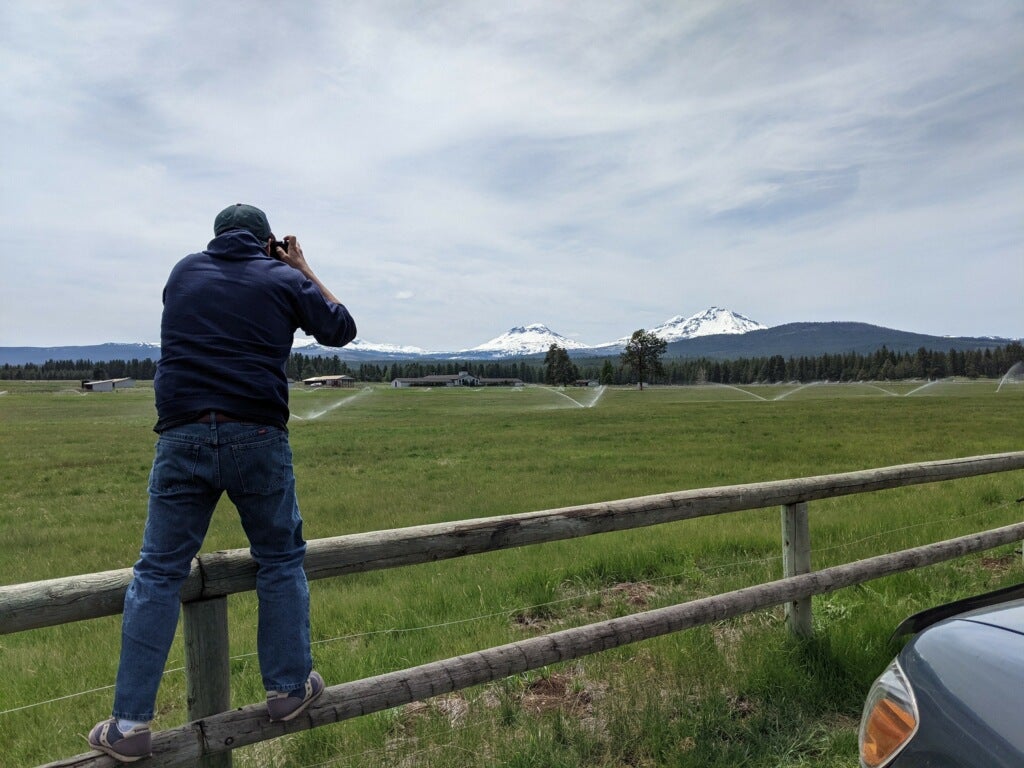 how i work ™️ | MLTSHP