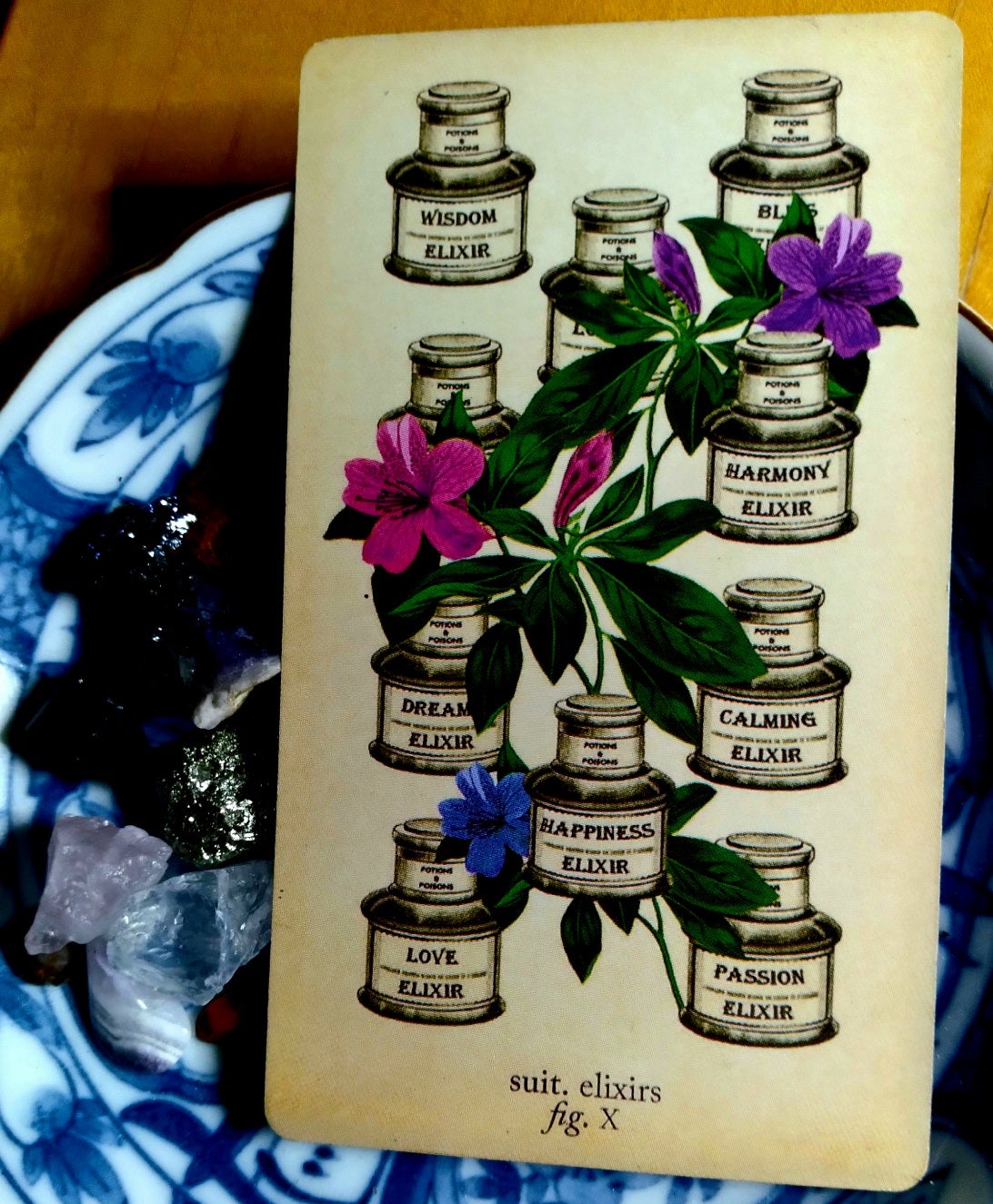 Ten of Elixirs from the Antique Anatomy Tarot | MLTSHP