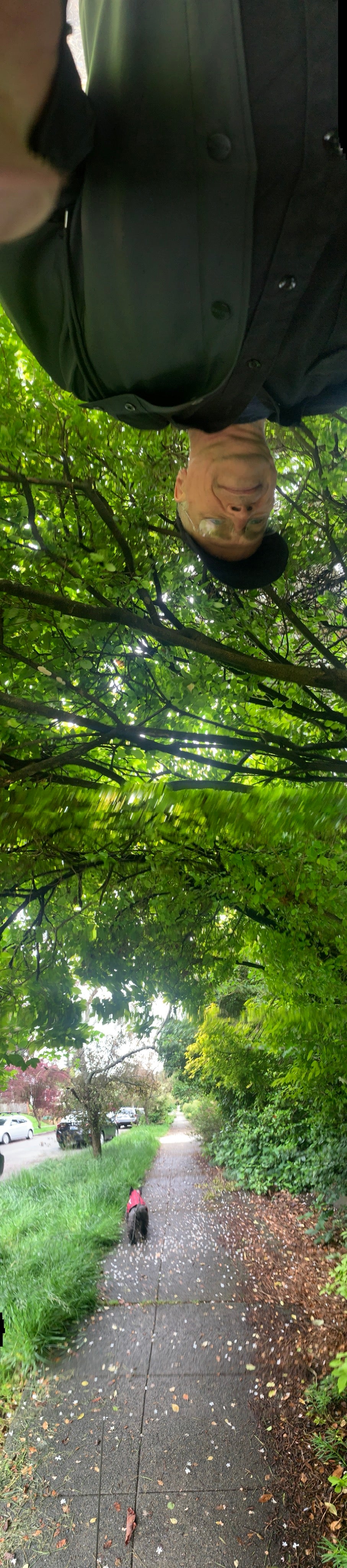 walking killer in the rain | MLTSHP