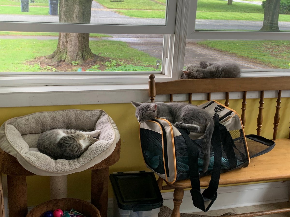 bird club on break.jpg | MLTSHP