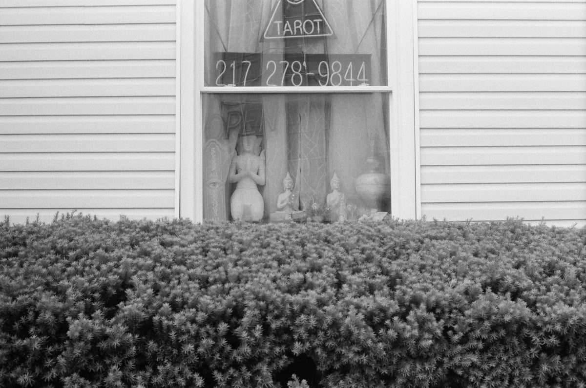 the seer’s window | MLTSHP