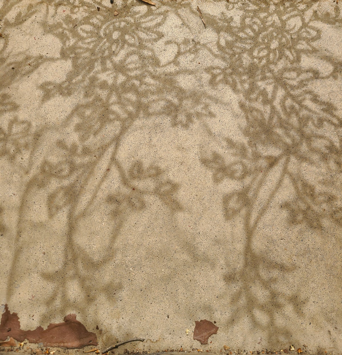 Shadow Print | MLTSHP