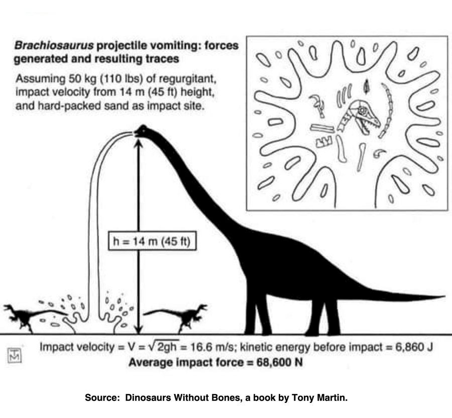 Average Impact Force | MLTSHP