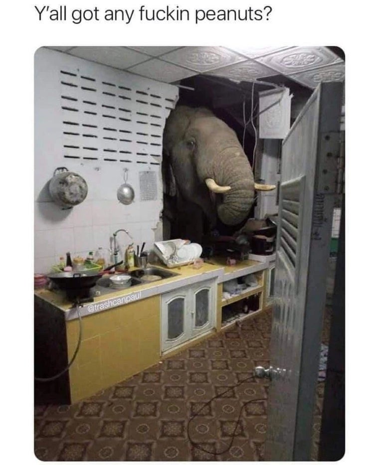 I remember you! | MLTSHP