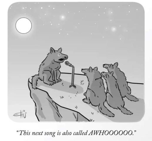 Meanwhile... | MLTSHP