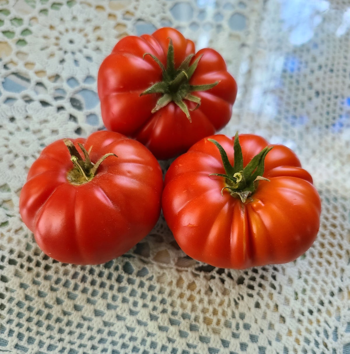 These Pretty, Little, Tomatoes | MLTSHP