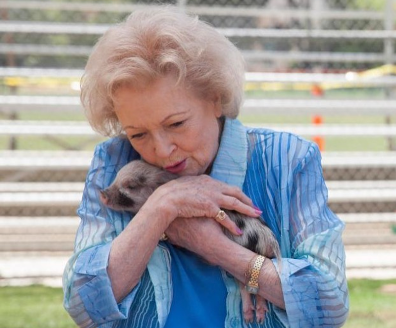 Sophia’s Famous Lasagna Gets the Vegan Treatment at ‘Golden Girls’ Pop-Up | MLTSHP