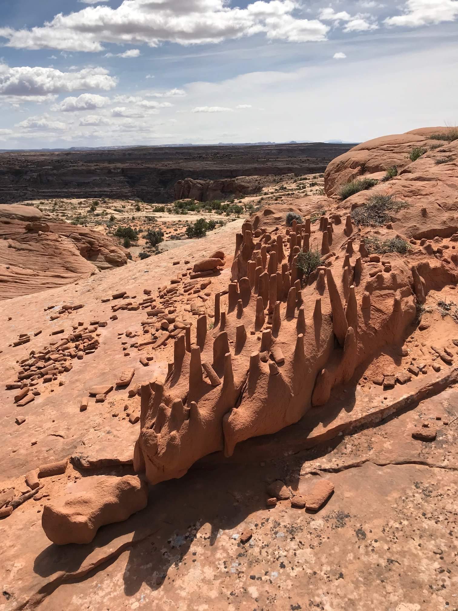 Alligator Rock, Grand Staircase National Monument | MLTSHP