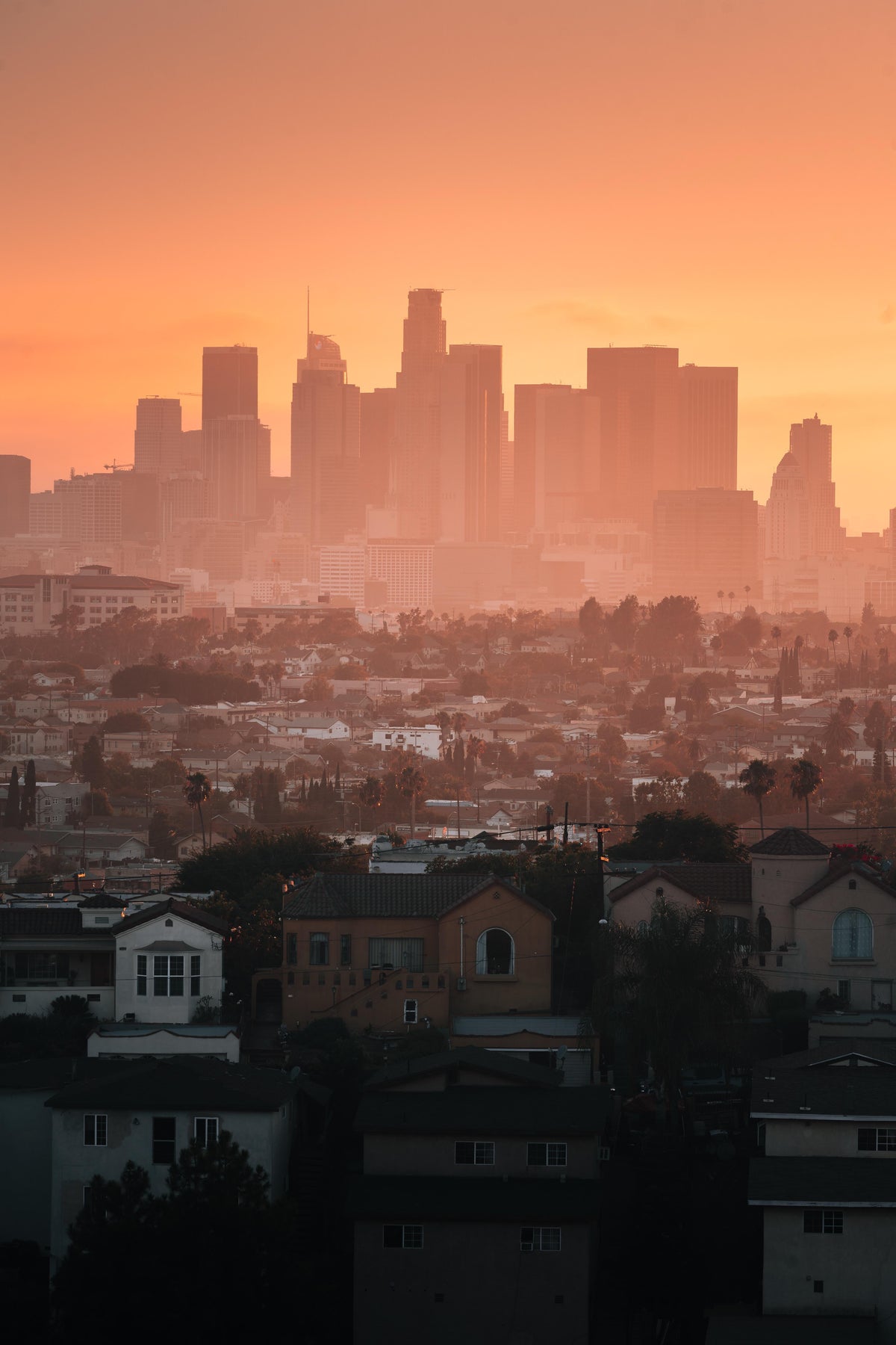 she had to leave | MLTSHP