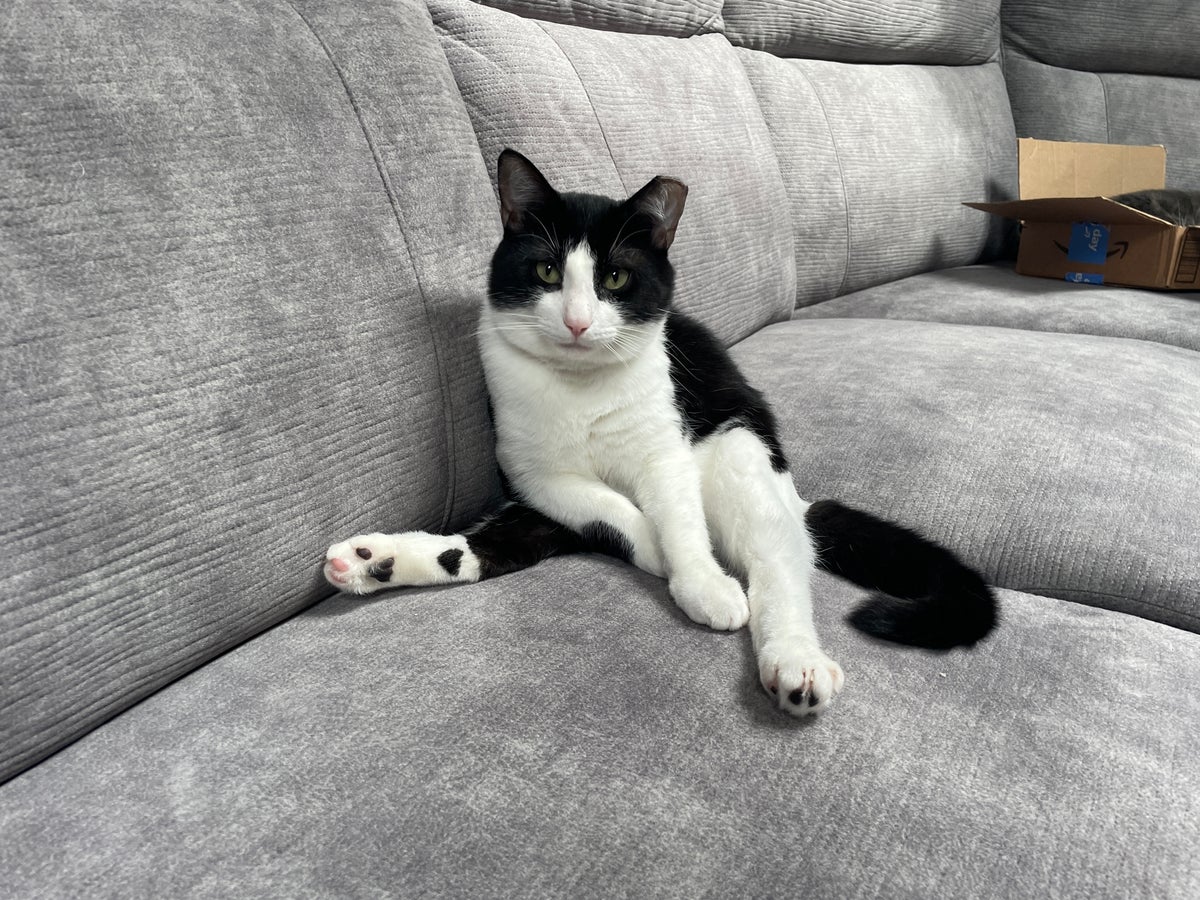 mister toad | MLTSHP